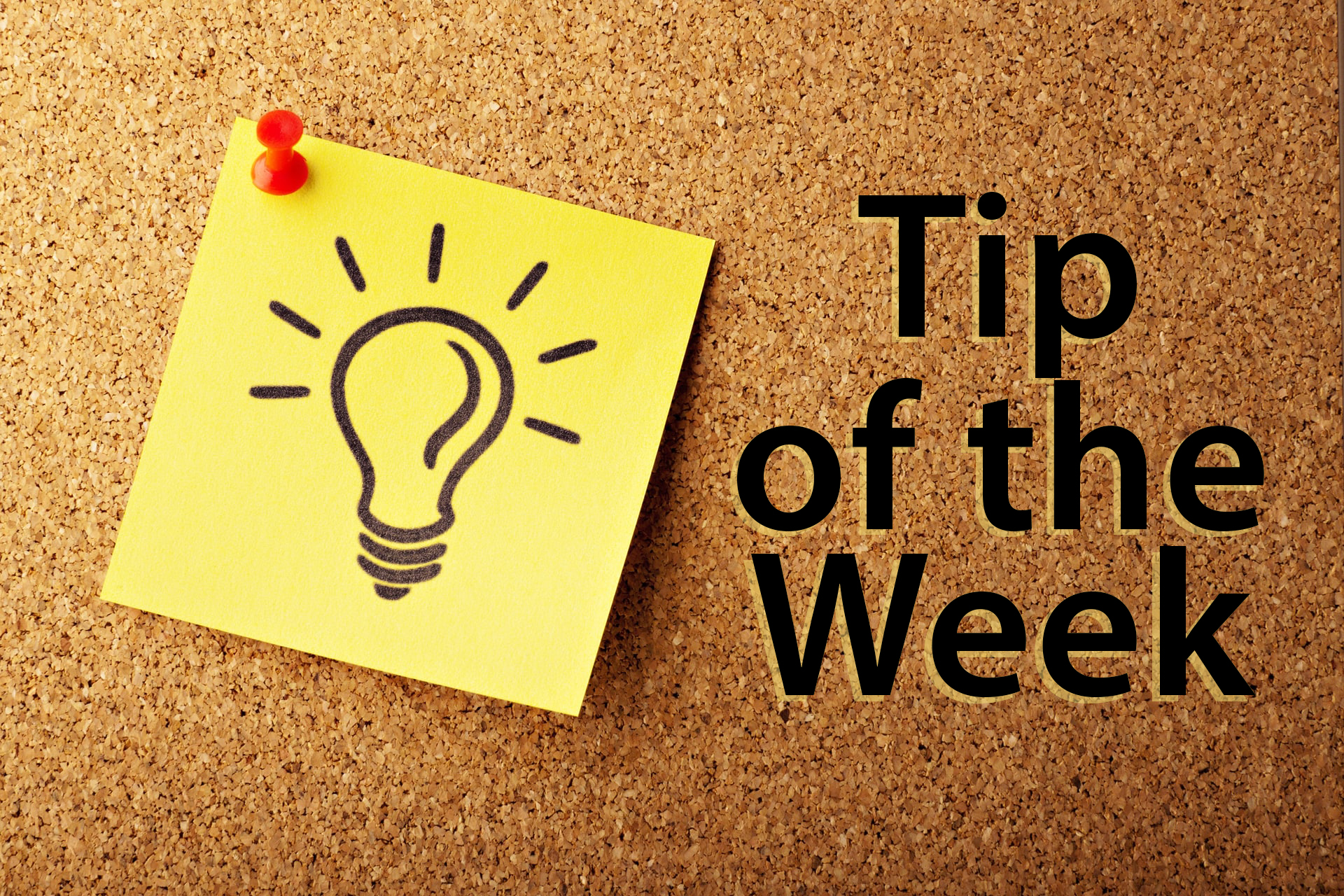 District 60 Leaders 2024/25 - District 60 serving Toronto, Canada